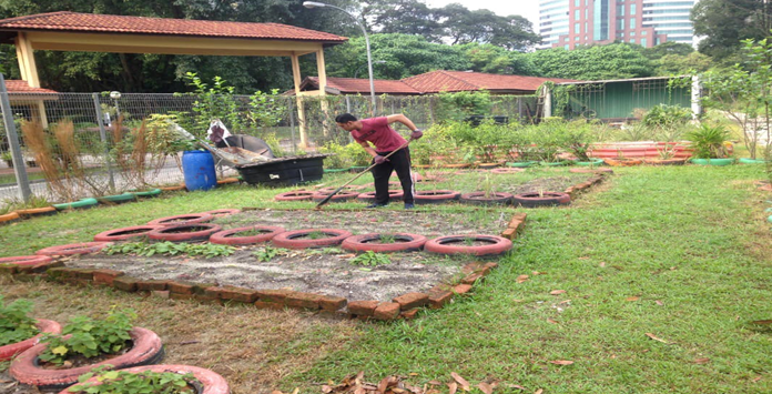 Urban Garden Project | Universiti Teknologi Malaysia