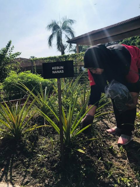 Urban Garden Project | Universiti Teknologi Malaysia