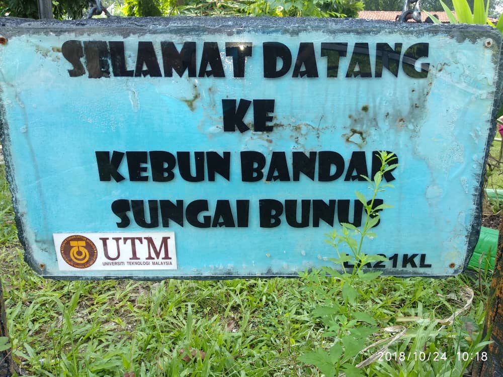 Program Lestari Kebun Bandar Sg. Bunus | Urban Garden Project